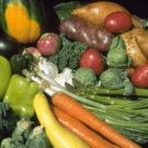 What is Food Biotechnology? | Center for Consumer Research